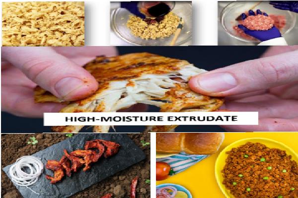 Home || Food Processing Certification Courses - FICSI